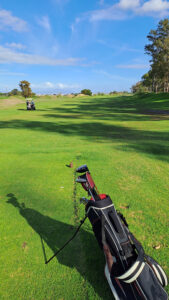 Sevruga Restaurant: Top V&A Waterfront Dining